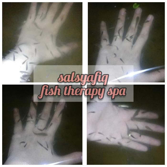 Jual Ikan Garrarufa Fish Terapi spa Ikan gararupa asli bukan nilem 2 ...