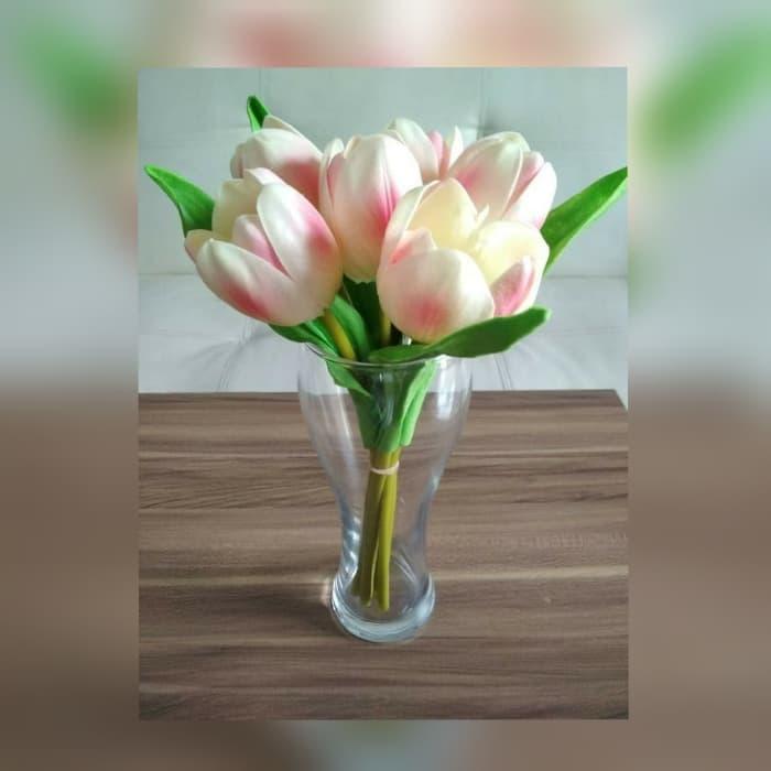 Bunga Tulip Putih Mekar