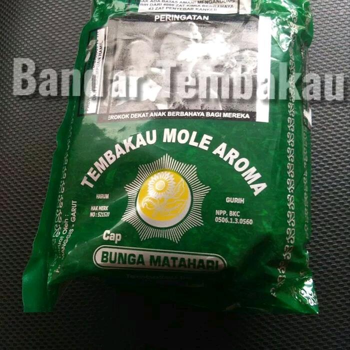 Jual Tembakau mole bunga matahari hijau - Jakarta Barat - vixcusen ...