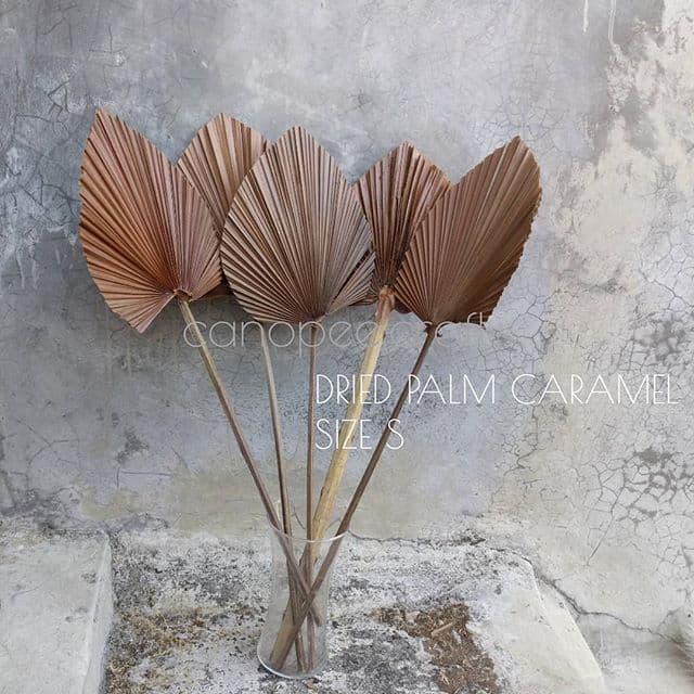 Jual Dried Palm Daun Palem Kering Size S Warna Caramel - Kota Semarang ...