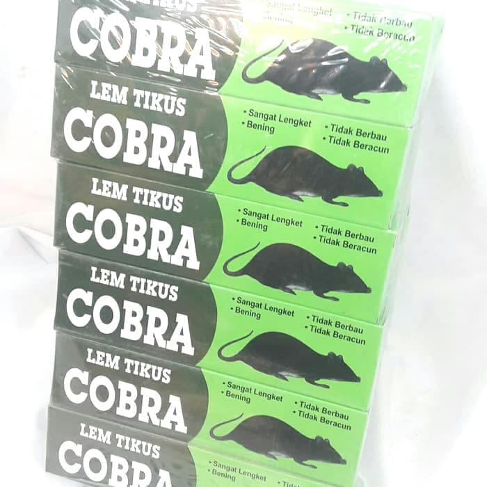 Jual Lem Tikus Cobra Model Tube 70Gr - Jakarta Utara - CADIVUS DEUS ...