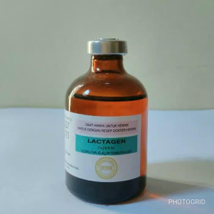 Jual LACTAGEN 20 ml Hormon Pemacu Pelancar Air Susu Hewan ORIGINAL ...