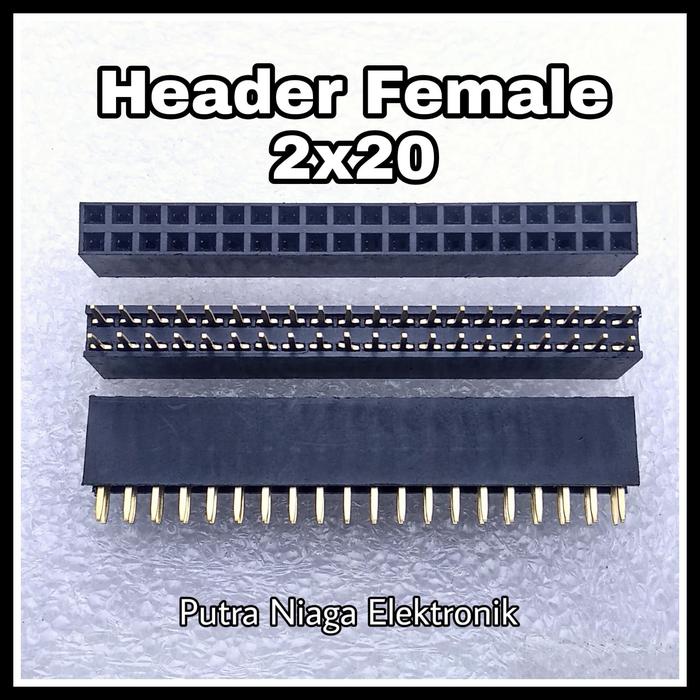 Jual Header Female 2x20 Pin 2.54mm 2 x 20 Double Row - Kota Bandung ...