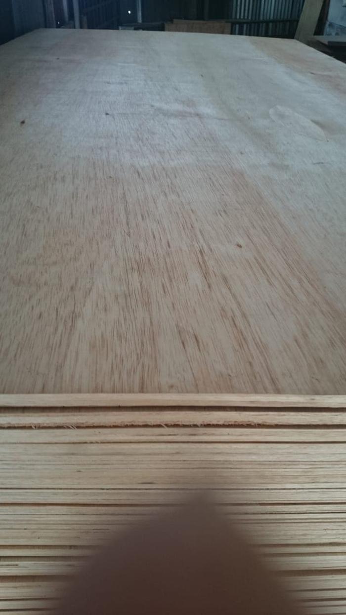 Jual Triplek Plywood Multiplek 9mm Alba - Jakarta Timur - surya agung ...