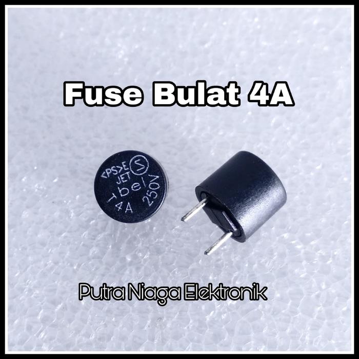 Jual Fuse Bulat 4A 250V Sikring Silinder Sekering PCB Board / T4A 250V ...
