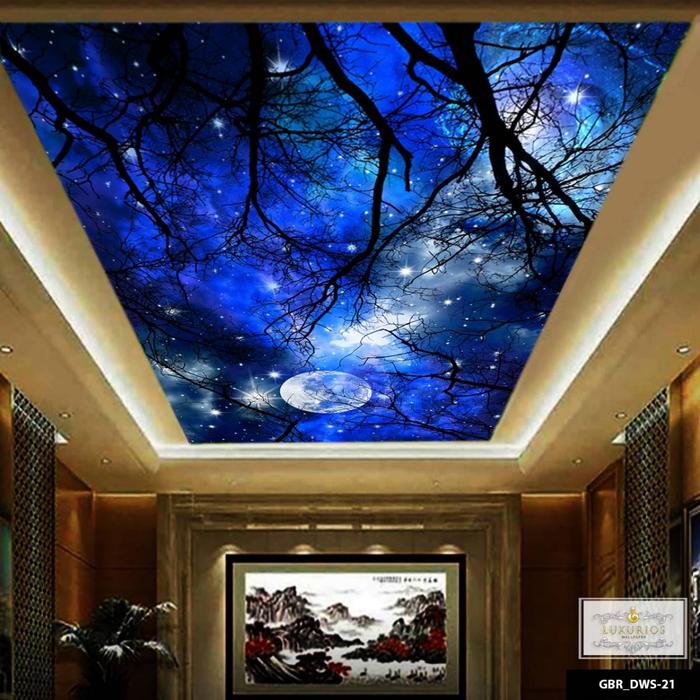 Jual Walpaper Wallpaper Wall Sticker Stiker PLAFON 3D CUSTOM Langit ...