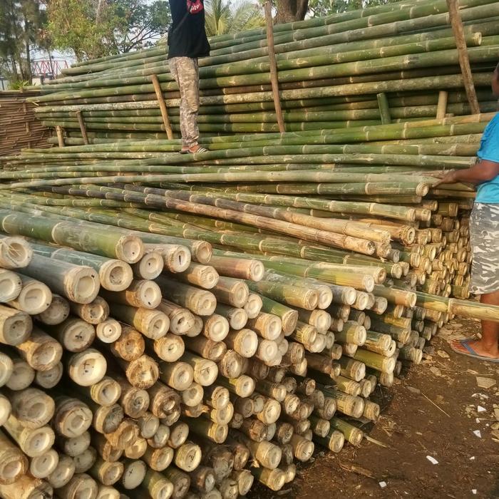 Jual bambu steger murah Jakarta 8cm-9cm - Jakarta Utara - CV SINAR ZIA ...