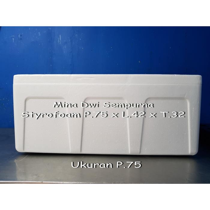 Jual Styrofoam box 30kg-35kg / Sterofoam Ikan Beku & Daging Beku/ Cool ...