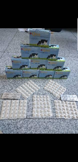 Jual Enzim rennet bahan pembuat keju mozarella - Kota Bandung - Rubels ...