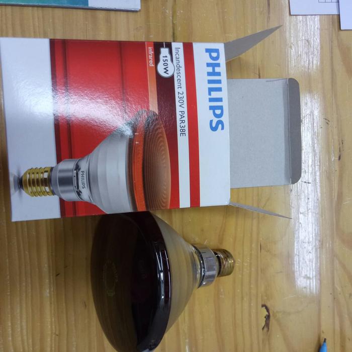 Jual Lampu terapi infrared infraphil 150w 150 watt philips - Jakarta ...