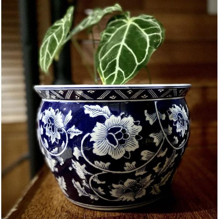 Jual Pot Bunga Keramik Cina Biru Dongker Bulat Tebal Besar Size No 1 ...