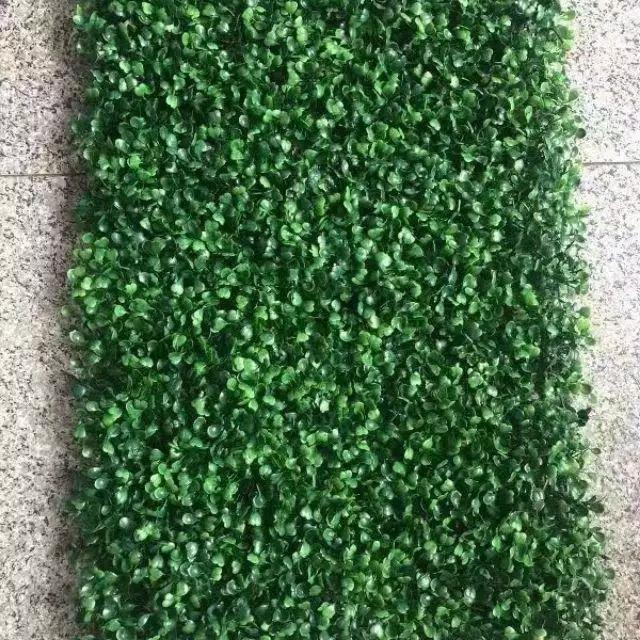 Jual tanaman hias rambat dolar sintetis artificial - daun palsu hiasan ...