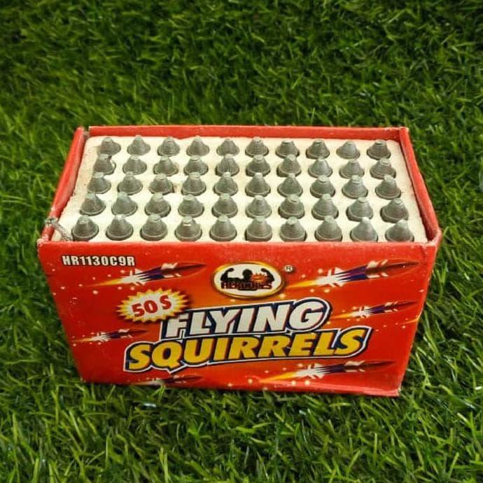 Jual Petasan Roket Missile Suit 50pcs Kembang Api Rocket Misile ...