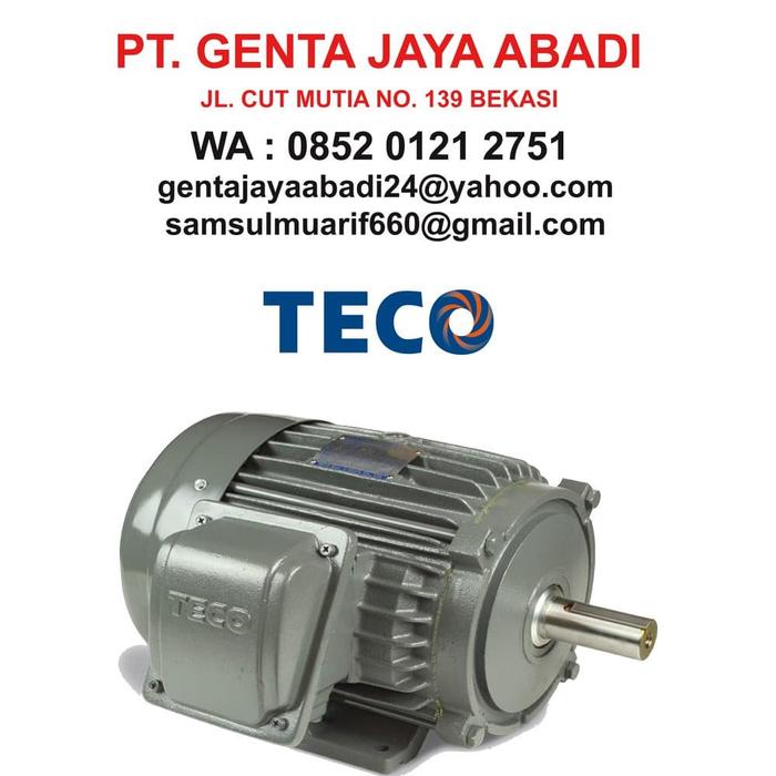 Jual Dinamo teco 15 kw 20 hp 1450 rpm b3 - Kota Bekasi - PT GENTA JAYA ABADI | Tokopedia