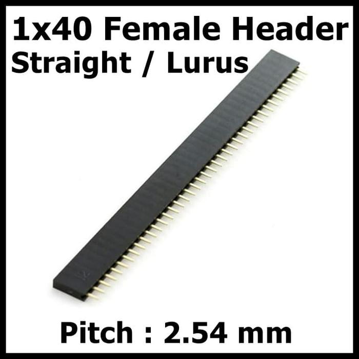Jual Pin Header 2.54mm Female 40 Pin Single Row 1x40 Pin Straight Lurus ...