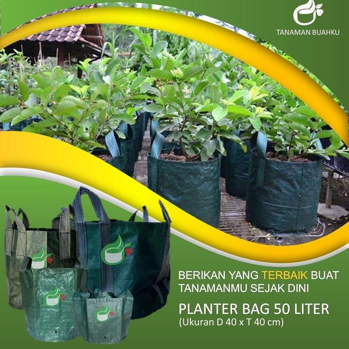 Jual Planter Bag 50 Liter Original Easy Grow Polybag Tambulampot Pot ...