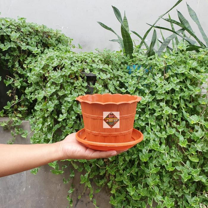 Promo pot bunga tanaman motif kayu warna merah bata 16cm + tatakan ...
