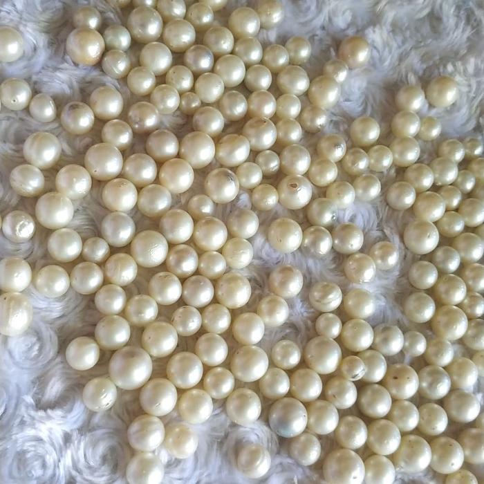 Jual butiran Mutiara laut lombok original FREE SERTIFIKAT - Kota ...