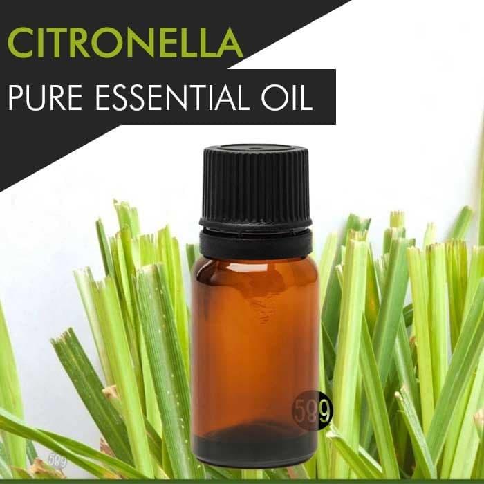 Jual Citronella Oil / Minyak Sereh Wangi - 100% Pure Essential Oil ...
