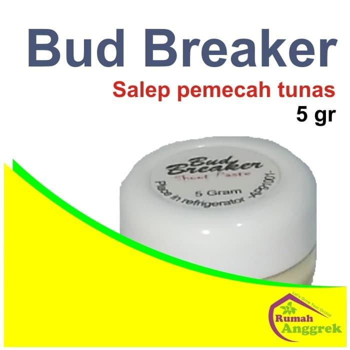 Jual Bud Breaker Salep Pemecah Tunas Tangkai Bunga Anggrek Bulan ...