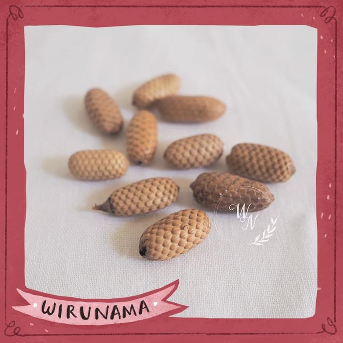 Jual BIJI ROTAN LONJONG - BIJI ROTAN - BAHAN RUSTIC - RUSTIC - Kab ...