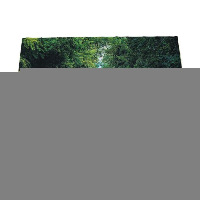 Jual Stiker Dinding Bahan Vinyl Gambar Pemandangan Kota di Hutan Ukuran ...