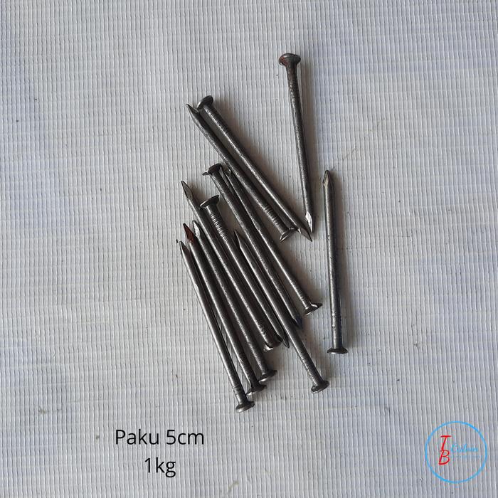 Jual Paku 5cm untuk kayu (1kg) - Jakarta Barat - TB Calvin | Tokopedia