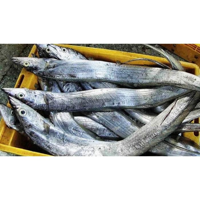 Jual Ikan Layur Potong Frozen / Beku per 1kg - Kualitas Ekspor ...