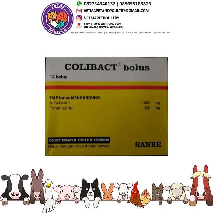 Jual COLIBACT BOLUS 1 Box Obat Antibakteri Hewan Ternak Diare ...