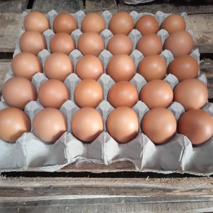 Jual Telur ayam / Telor ayam Negeri 30 btr ( 1 papan / 1.88 kg ...