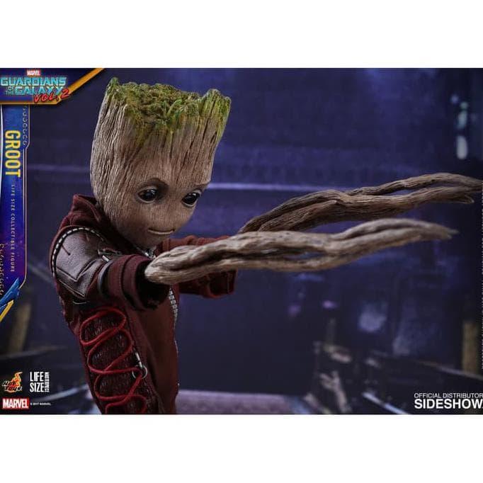 Jual Hot Toys Ht 1/6 Marvel Avengers Baby Groot Life Size Gotg Original ...