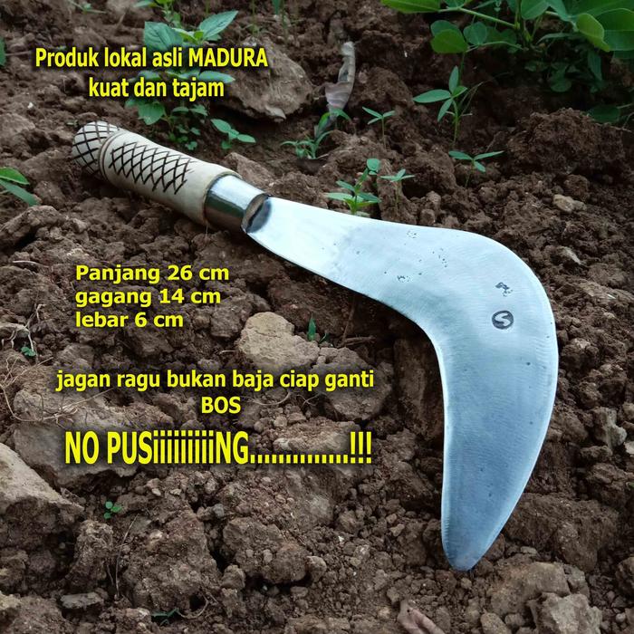 Jual calok bendo pegupas kelapa UD MADURA - Kab. Bangkalan - UD MADURA ...