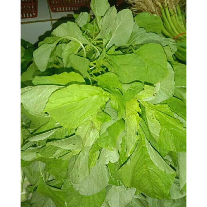 Promo Bayam/spinach 1 ikat - Jakarta Pusat - Pak Sayur | Tokopedia