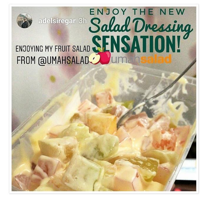Jual Salad buah umahsalad, wadah 1000 ml - Kota Bekasi - umahsalad ...