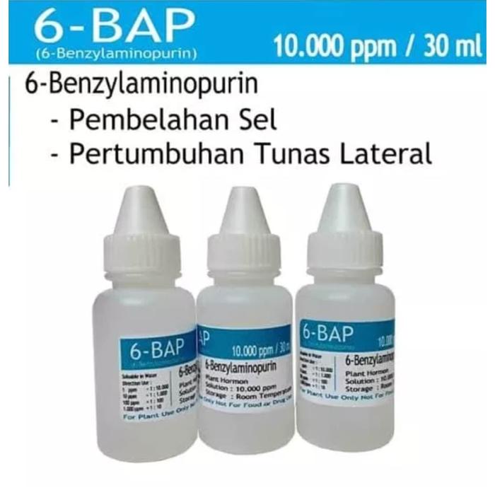 Jual 6-BAP Benzyl Amino Purin Hormon Pembelahan Sel 10.000 ppm 30ml ...