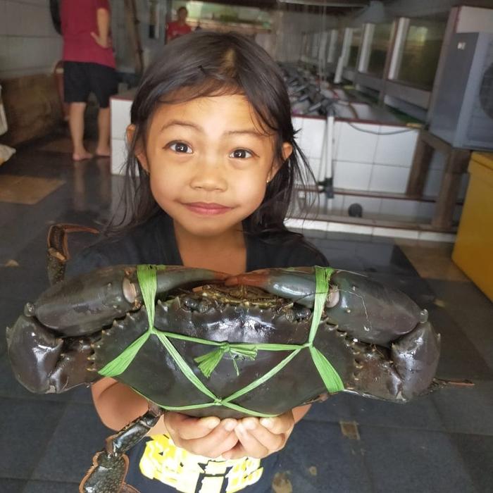 Jual kepiting jumbo hidup size 1kg up - Kota Tangerang - LUCKY seafood ...