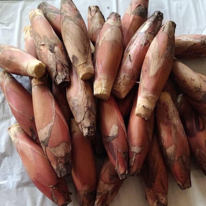 Jual (PROMO) Jual buah langka buah galoba obat HIV/aids Murah Sehat ...