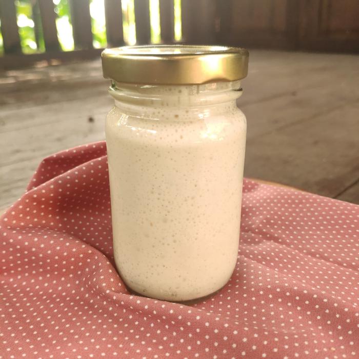 Jual SOURDOUGH STARTER / RAGI ALAMI - Kota Bogor - salmon/lola | Tokopedia