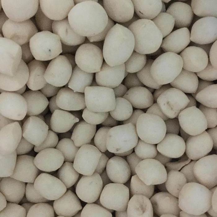 Jual Getas Bangka Ikan Tenggiri Premium - Kota Palembang - Pabrik ...