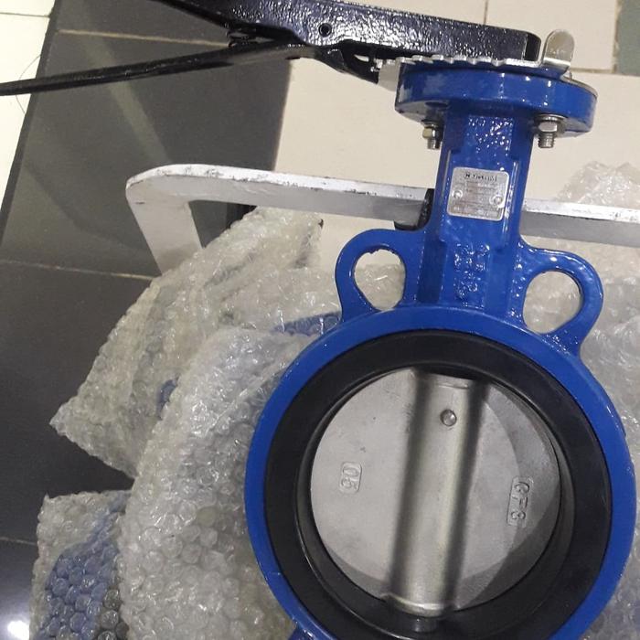 Jual BUTTERFLY VALVE 5 INCH CAST IRON HAWK VALVE D71X - Jakarta Pusat ...