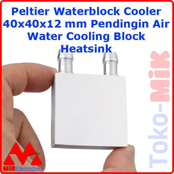 Jual Heatsink CPU Peltier Waterblock 40x40x12 mm Water Cooling Block ...