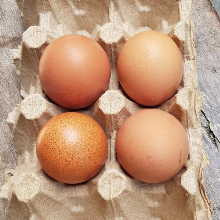 Jual Telur Ayam Negeri isi 4 butir - Jakarta Pusat - Le Marble | Tokopedia