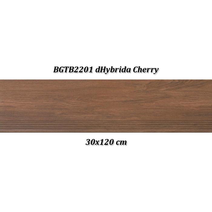 Jual Roman Granit Steptile / Stepnosing Series 30x120 cm - BGTB2201 ...