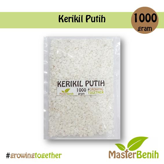 Jual Batu Hias Tanaman Kerikil Putih 1 kg - Kota Medan - Master Benih ...