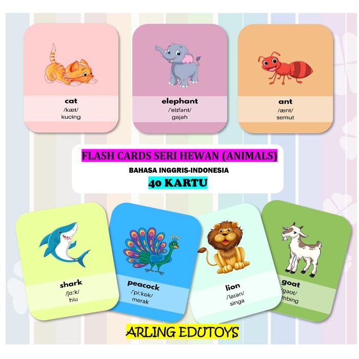 Jual FLASH CARD FLASHCARD KARTU BELAJAR EDUKASI PINTAR ANAK HEWAN ...