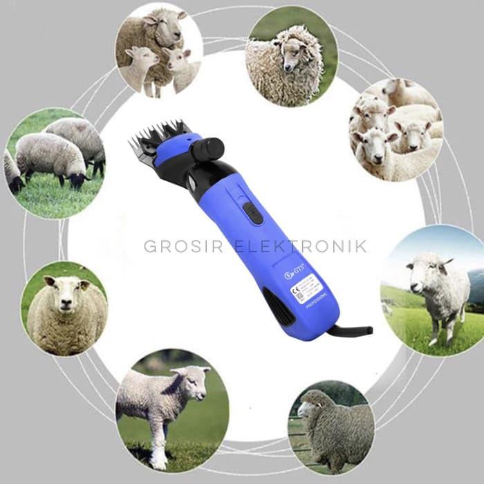 Jual Alat Cukur Bulu Domba / Sheep Clipper Mesin Cukuran Animal GTS ...