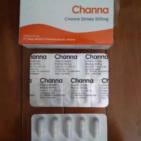 Jual CHANNA KAPSUL ALBUMIN, CHANNA STRIATA, JUAL PER STRIP - Kota ...