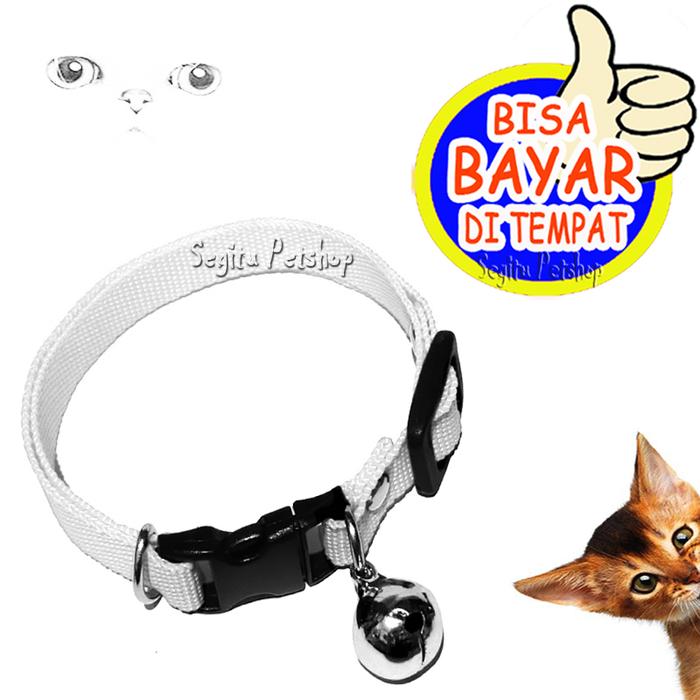 Jual Kalung Kucing Polos Lonceng - Putih - Kab. Tangerang - SILVERA ...