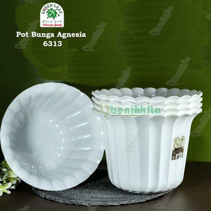 Jual Pot Tanaman/Bunga Agnesia (Green Leaf) - Kota Depok - benihkita ...