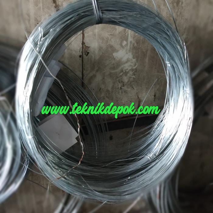 Jual Kawat BWG Putih No 22 Tali Ikat Tanaman Galvanis 0.5 mm 1/4 Kg Depok - Kota Depok - alat ...